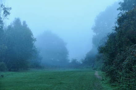 5,000 Misty weather Stock Pictures, Editorial Images and Stock Photos | Shutterstock