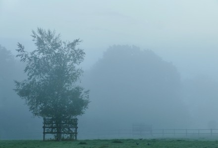5,000 Misty weather Stock Pictures, Editorial Images and Stock Photos ...