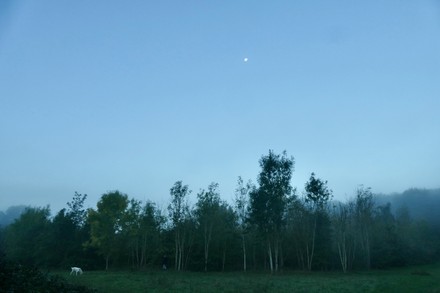 5,000 Misty weather Stock Pictures, Editorial Images and Stock Photos ...