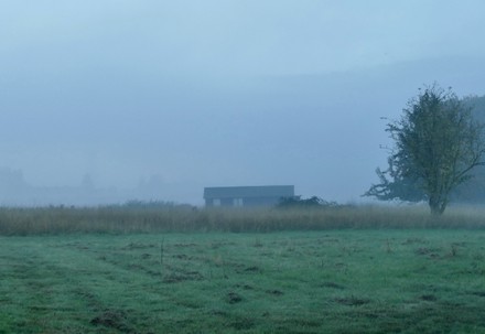 5,000 Misty weather Stock Pictures, Editorial Images and Stock Photos ...