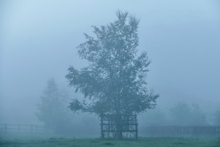 5,000 Misty weather Stock Pictures, Editorial Images and Stock Photos ...