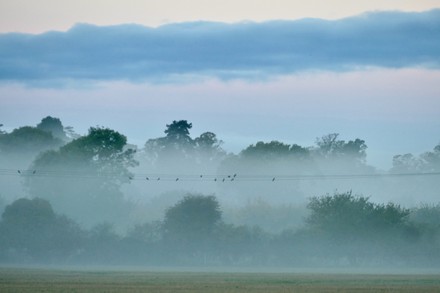 5,000 Misty weather Stock Pictures, Editorial Images and Stock Photos ...
