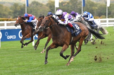 Ascot Races, UK - 15 Oct 2022 Stock Pictures, Editorial Images and ...