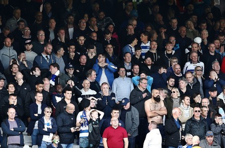 Qpr Fans React Editorial Stock Photo - Stock Image | Shutterstock