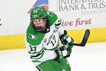 North Dakota Fighting Hawks Goaltender Jakob Editorial Stock Photo - Stock Image | Shutterstock