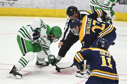North Dakota Fighting Hawks Goaltender Jakob Editorial Stock Photo - Stock Image | Shutterstock