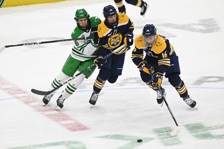 North Dakota Fighting Hawks Goaltender Jakob Editorial Stock Photo - Stock Image | Shutterstock