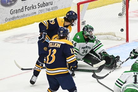 North Dakota Fighting Hawks Goaltender Drew Editorial Stock Photo - Stock Image | Shutterstock