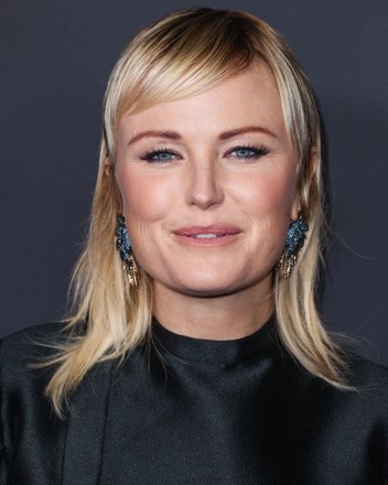 Swedishamerican Actress Model Malin Malin Akerman Editorial Stock Photo ...