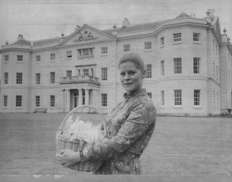 Saltram House Plymouth Saltram House George Editorial Stock Photo ...