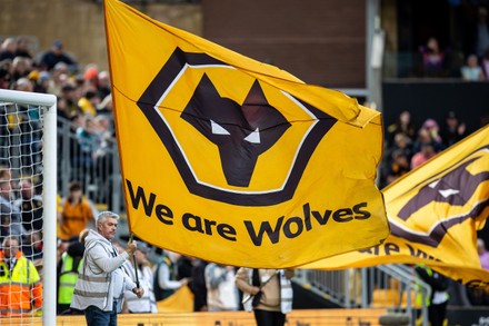 2,000 10 wolves Stock Pictures, Editorial Images and Stock Photos ...