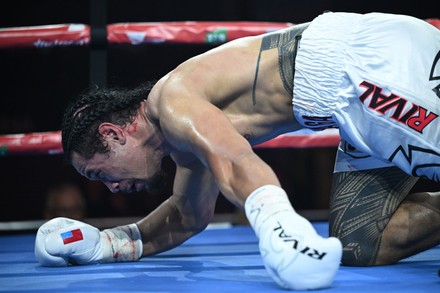 New Zealand Boxer Titi Motusaga Knocked Editorial Stock Photo - Stock ...