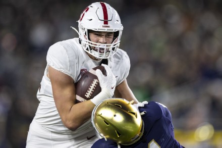 Stanford Running Back Casey Filkins 2 Editorial Stock Photo - Stock ...