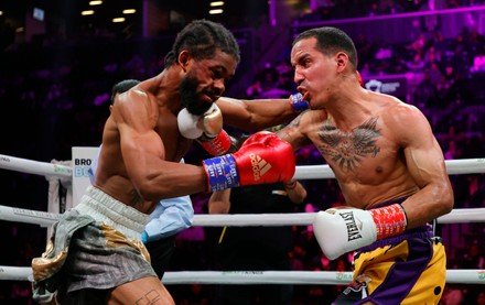 Puerto Rican Boxer Emmanuel Rodriguez R Editorial Stock Photo - Stock ...