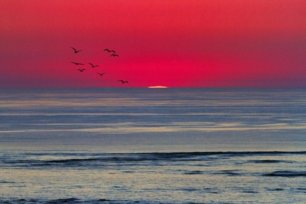 Refraction Reflection Sunset On Horizon Flock Editorial Stock Photo ...