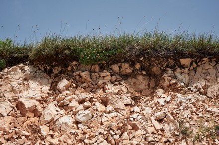 Calcareous Soil Grass Cover Rendzina Monti Editorial Stock Photo ...