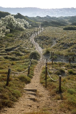 Sand Path Through Dunes San Bou Editorial Stock Photo - Stock Image ...