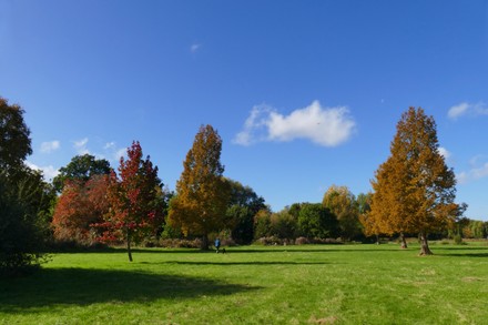People Out Along Mill Meadows On Editorial Stock Photo - Stock Image ...