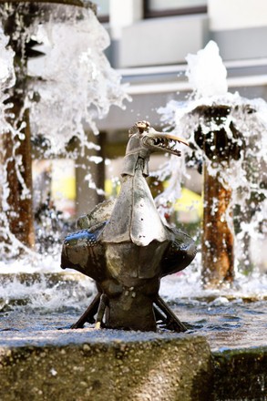 5,000 Bird farm Stock Pictures, Editorial Images and Stock Photos ...