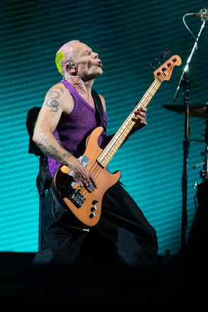 Flea Red Hot Chili Peppers Performs Editorial Stock Photo - Stock Image ...