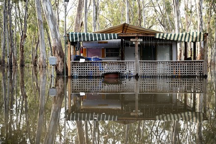 Caravans Submerged Swollen Murray River Barmah Editorial Stock Photo ...