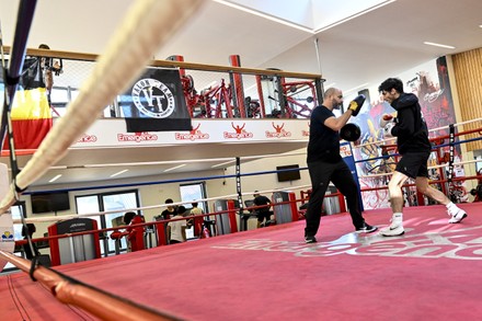 Belgian Boxer Miko Khatchatryan Pictured During Editorial Stock Photo ...