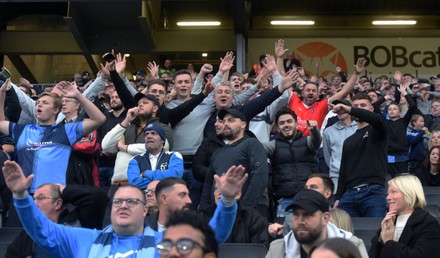 Wycombe Wanderers Fans Editorial Stock Photo - Stock Image | Shutterstock