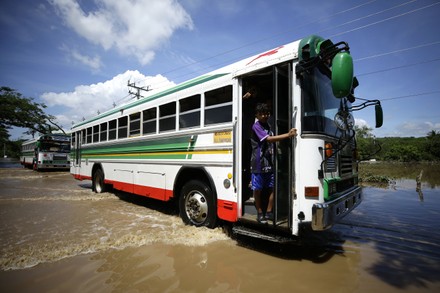 750 Bus in flood Stock Pictures, Editorial Images and Stock Photos ...