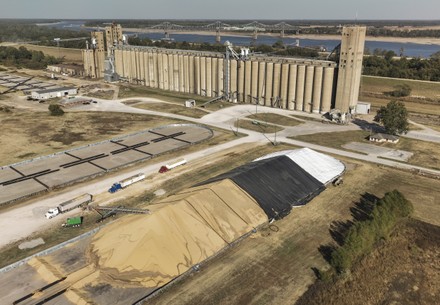 Aerial Photo Made Drone Shows Soybeans Editorial Stock Photo - Stock ...