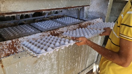 __COUNT__ Palestinian workers reuse papers to produce egg viols at a ...