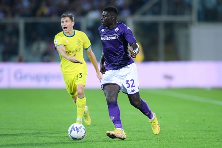Alfred Duncan Acf Fiorentina During Serie Editorial Stock Photo - Stock ...