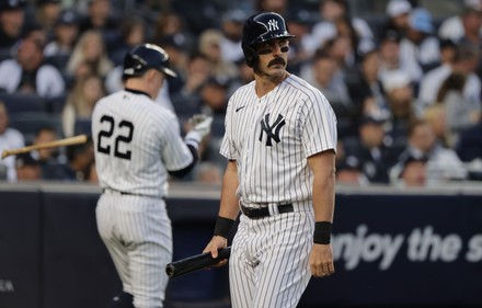 New York Yankees Batter Matt Carpenter Editorial Stock Photo - Stock ...