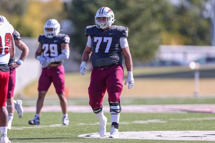 __COUNT__ NCAA Football Northwestern Oklahoma State University Rangers ...