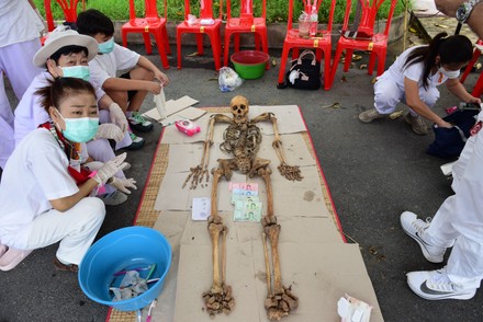 Volunteers Participated Tradition Exhuming Bodies Deceased Editorial ...