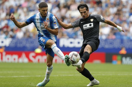 __COUNT__ Espanyol vs. Elche, Barcelona, Spain - 23 Oct 2022 Stock ...