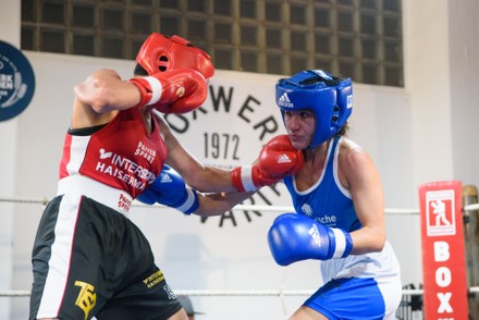 20,000 Boxing championship Stock Pictures, Editorial Images and Stock ...