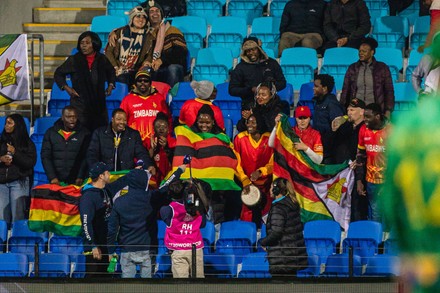 Zimbabwe Fans React During Icc Mens Editorial Stock Photo - Stock Image ...