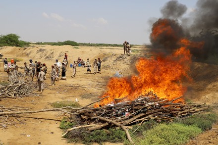 Members Yemeni Government Forces Burn Confiscated Editorial Stock Photo ...