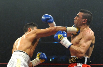 French Boxer Christophe Canclaux Fight Spains Editorial Stock Photo ...