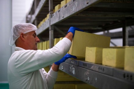 1,000 Milk factory Stock Pictures, Editorial Images and Stock Photos ...