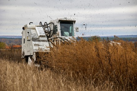 Armtrac Demining Machine Works During Presentation Editorial Stock ...