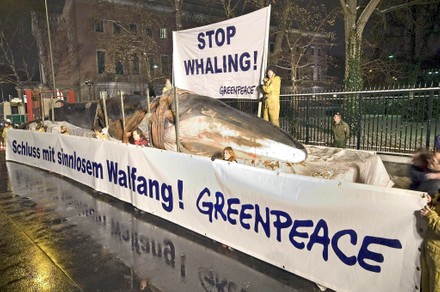 Greenpeace Activists Protest 17 Meter Long Editorial Stock Photo ...