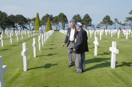 Dday Veterans 29th Infantry Division Their Editorial Stock Photo ...