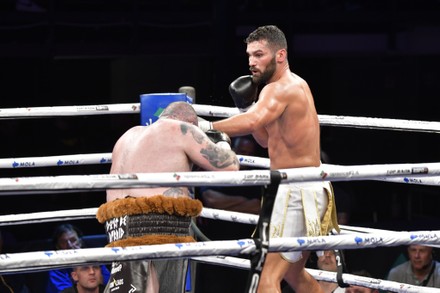 Guido Vianello Ita During Boxing Match Editorial Stock Photo - Stock ...