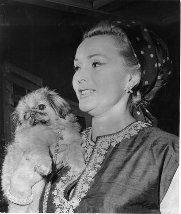 Zsa Zsa Gabor Her Dog Mlle Editorial Stock Photo - Stock Image ...