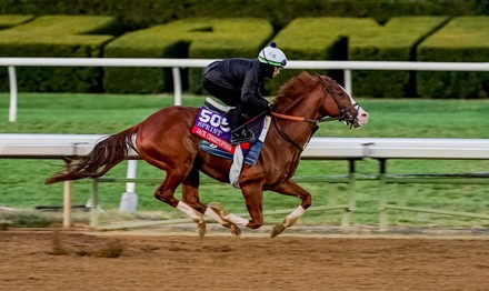 3,000 Horse racing fans Stock Pictures, Editorial Images and Stock ...