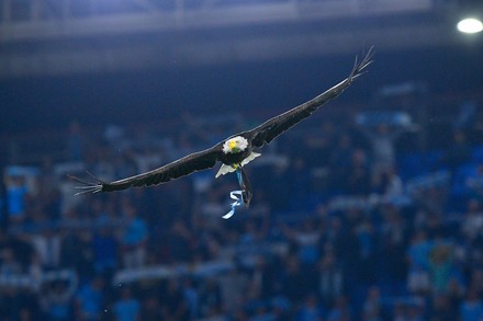 Ss Lazios Eagle Mascot Olimpia During Editorial Stock Photo - Stock ...
