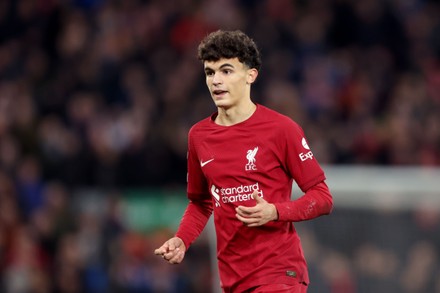 Stefan Bajcetic Liverpool Editorial Stock Photo - Stock Image ...