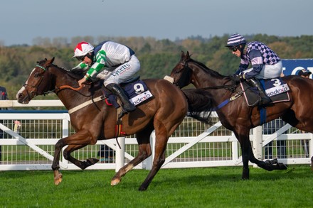 Jockey Tom Cannon Winner Gl Events Editorial Stock Photo - Stock Image ...