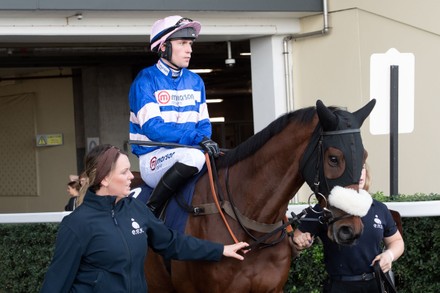 Horse Danny Kirwan Ridden By Jockey Editorial Stock Photo - Stock Image ...